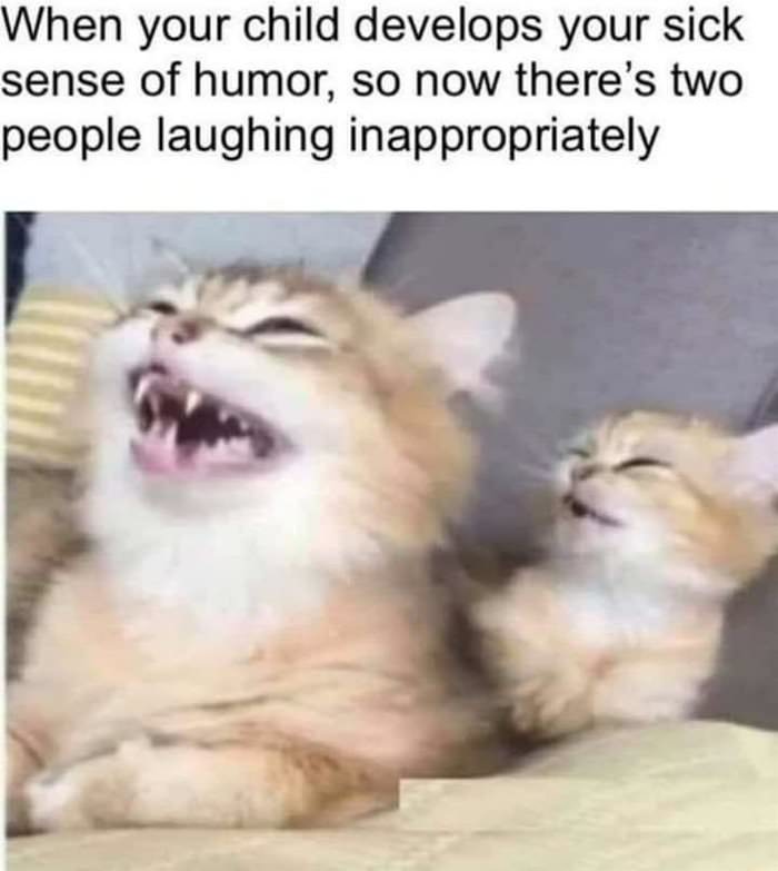 Sick Sense Of Humor Sick Sense Of Humor