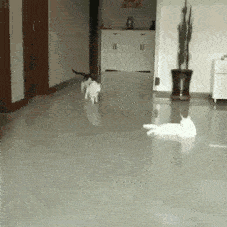 The GIF Thread | Page 24 | The SuperHeroHype Forums