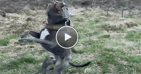 I am not letting go | Gifs