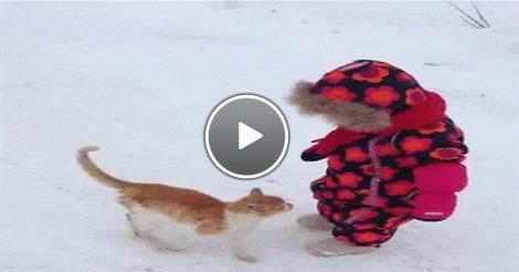 KO out of nowhere81 | Gifs