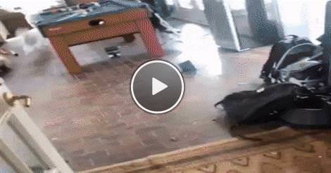 That is one excited doggo | Gifs