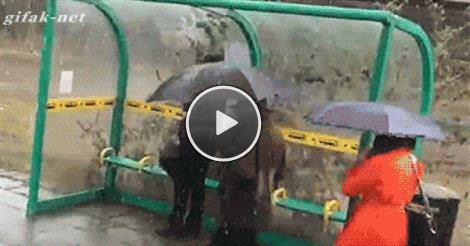 a bad start to the day | Gifs