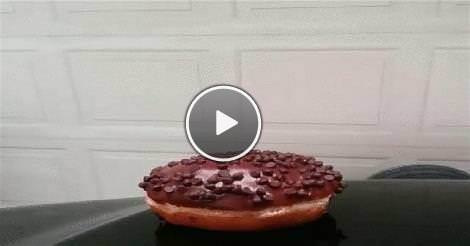 a donut hunter899 | Gifs