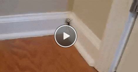 a tasty little snack | Gifs