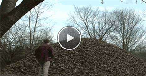 awesome leaf pile | Gifs