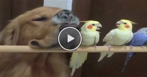 back off of him | Gifs