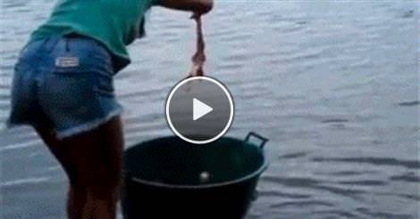 catching some fish | Gifs