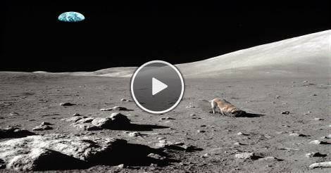 digging on the moon | Gifs