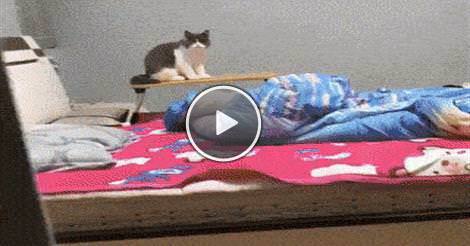 getting closer and closer | Gifs