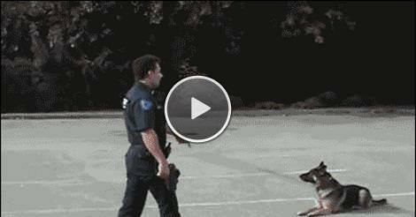 getting in the car | Gifs