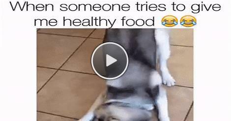 giving me some healthy food | Gifs