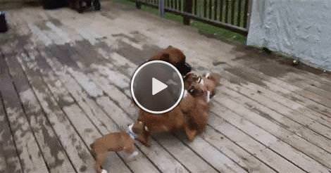 hey stop following me | Gifs