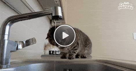 i really want some water | Gifs