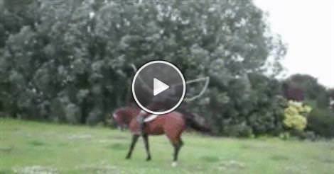 jump roping horse | Gifs