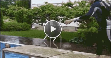 making a diving board | Gifs