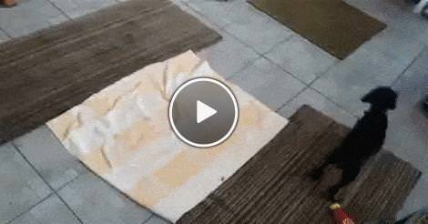 spinning and eating | Gifs