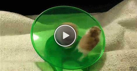 spinning round and around we go | Gifs