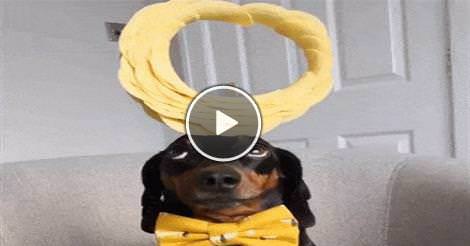 stacking chips | Gifs