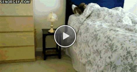 time for you to get up please | Gifs