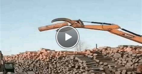 tossing it around | Gifs