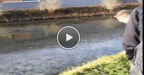 trying to smash the ice | Gifs