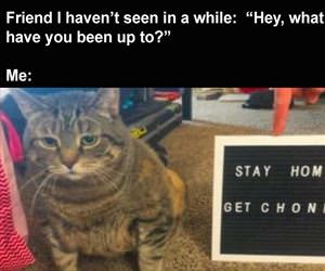 very cool take down | Gifs