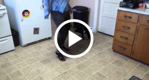 Baby Goat Hopping Around