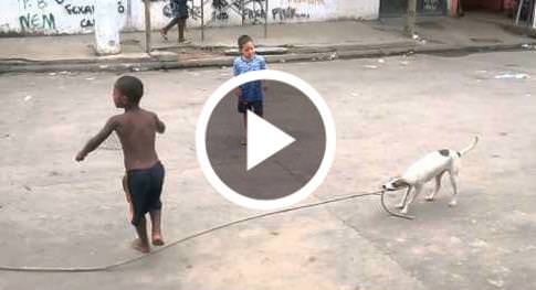 Dog Playing Jump Rope