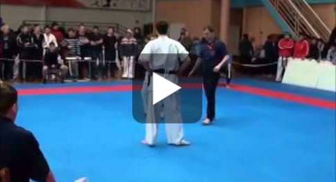 Incredible Karate Knockout