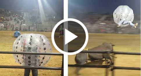 Inflatable Bubbles Bull Toss