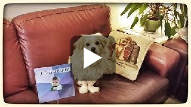 Majestic Dog Faceplant