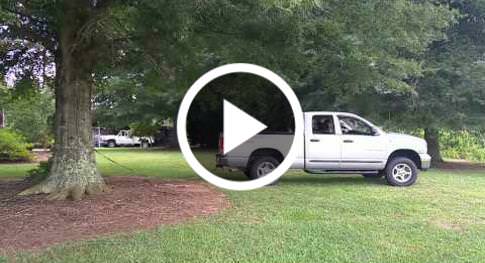 Pulling A Tree Down Using A Truck