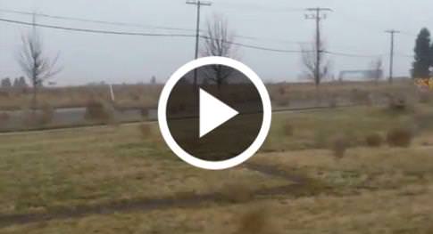 Tumbleweed Migration